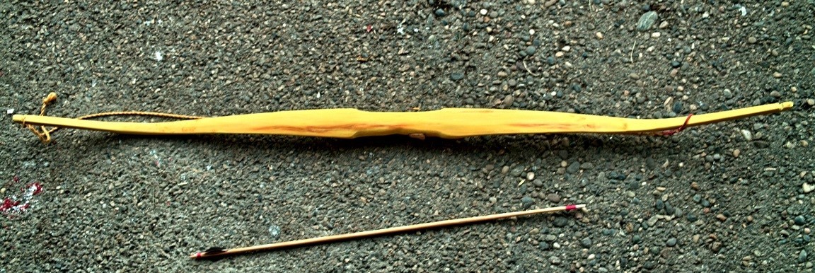 Types of Bow – Tyndale Archers